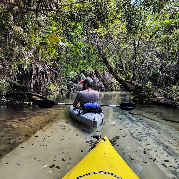 fern hammock springs 5