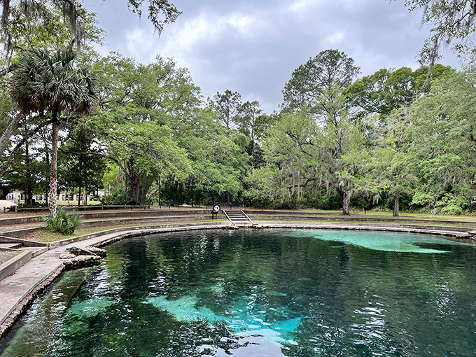 fern hammock springs 6