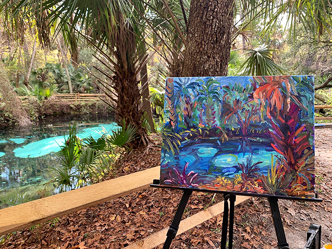 fern hammock springs 9