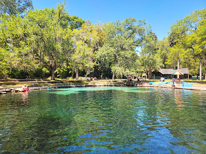 fern hammock springs 9