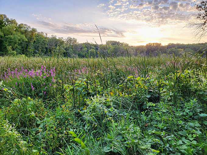 fish lake regional park 7