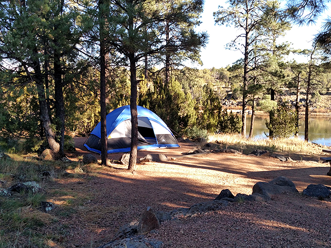 fool hollow lake recreation area 6