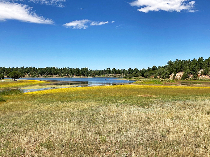 fool hollow lake recreation area 8