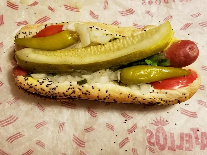 fratellos hot dogs 2