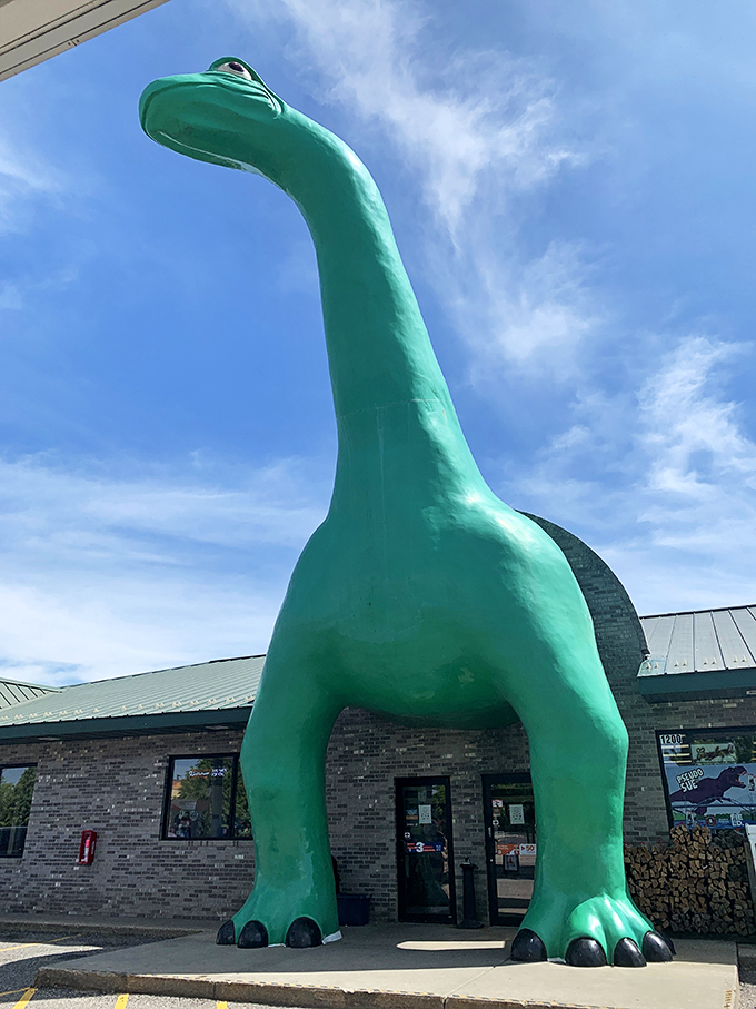 giant sinclair dinosaur at dino citgo 2 4