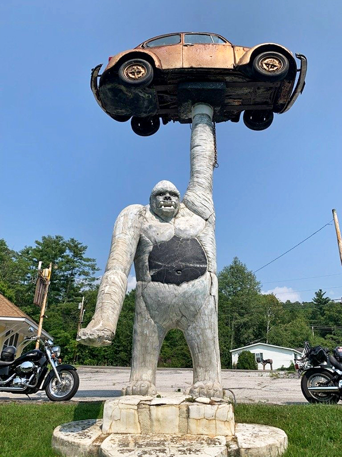 gorilla holding a vw beetle 1