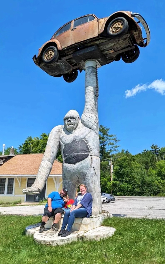 gorilla holding a vw beetle 10