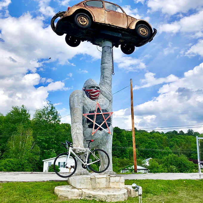 gorilla holding a vw beetle 11