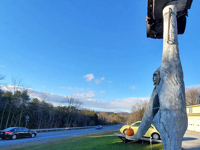 gorilla holding a vw beetle 12