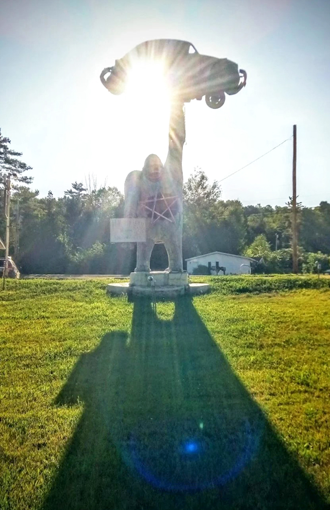 gorilla holding a vw beetle 13