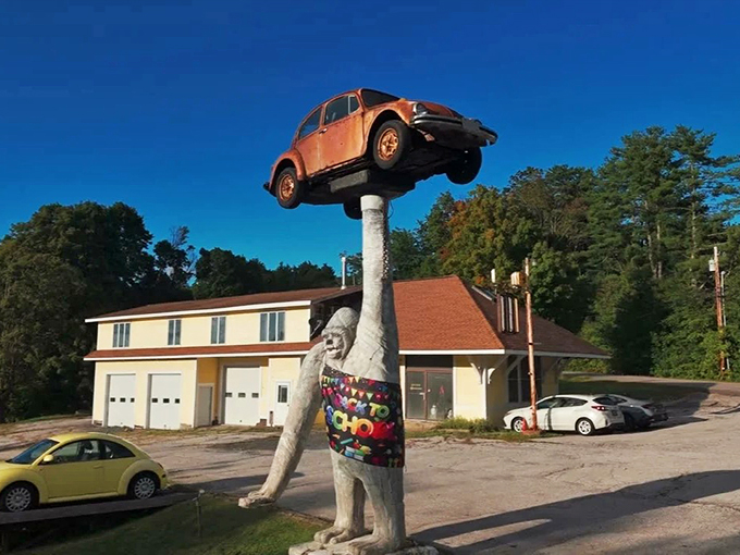 gorilla holding a vw beetle 14