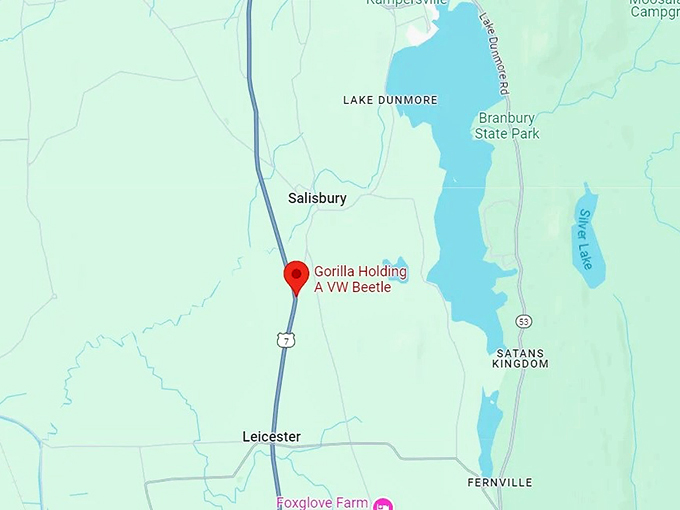 gorilla holding a vw beetle 16 map