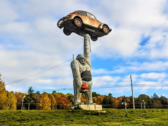 gorilla holding a vw beetle 2