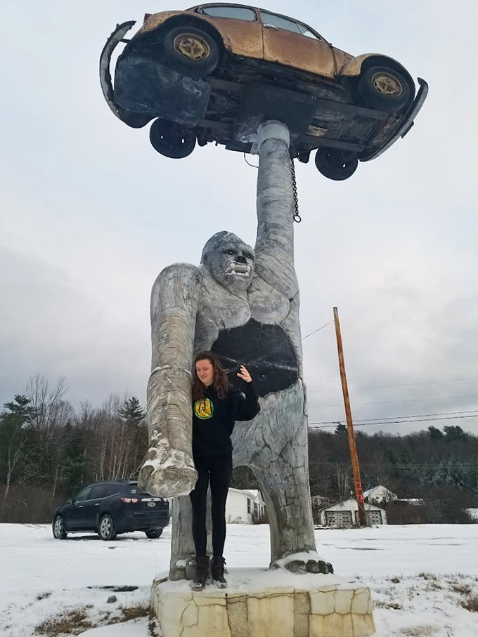 gorilla holding a vw beetle 7
