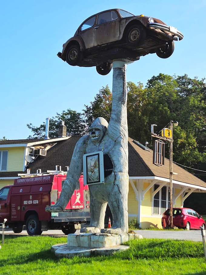 gorilla holding a vw beetle 8