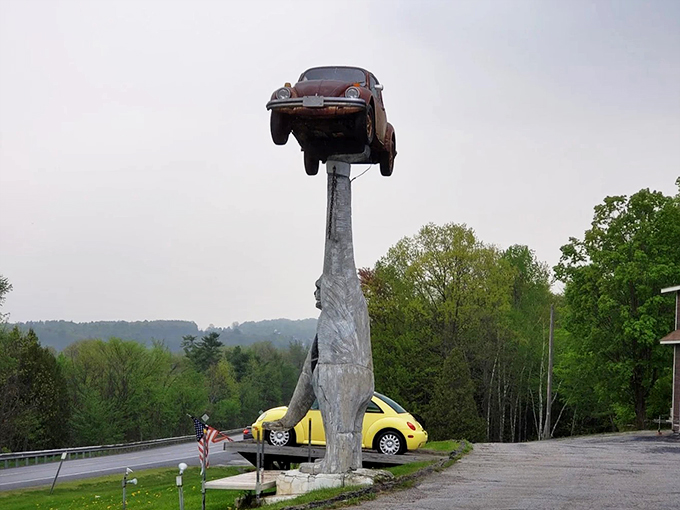 gorilla holding a vw beetle 9