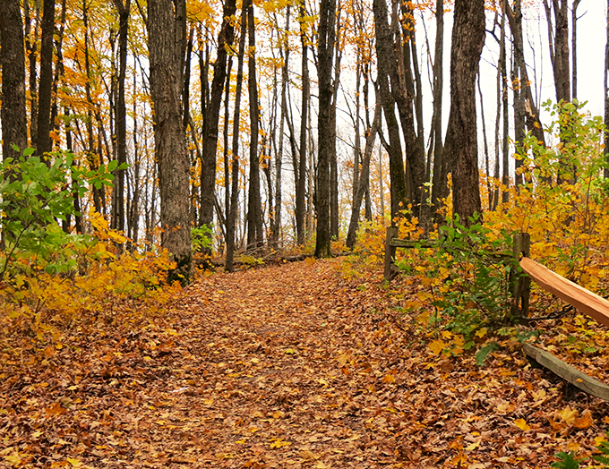 hilltop fall color tour 5