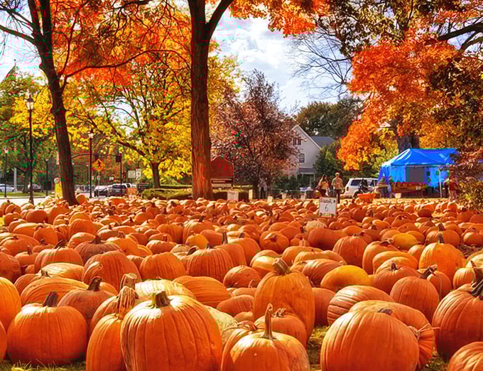 hilltop fall color tour 9