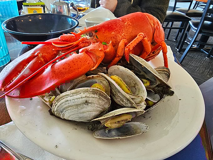 hobbs harborside restaurant 9