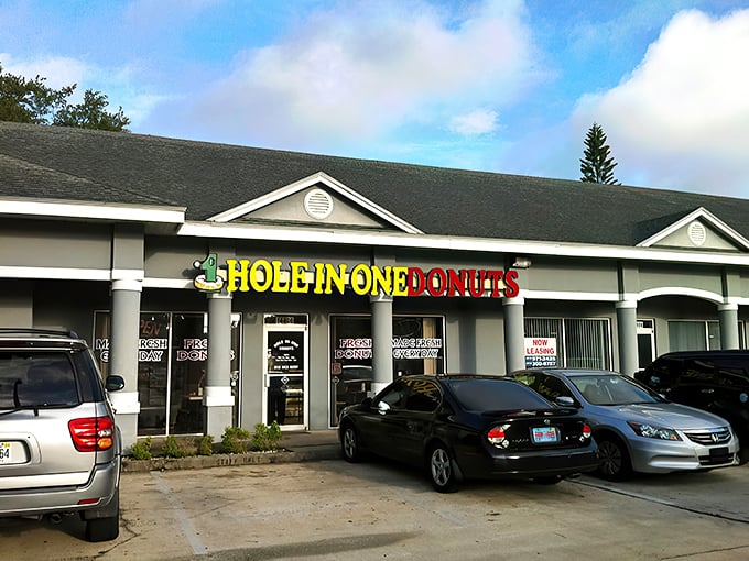 hole in one donuts 1