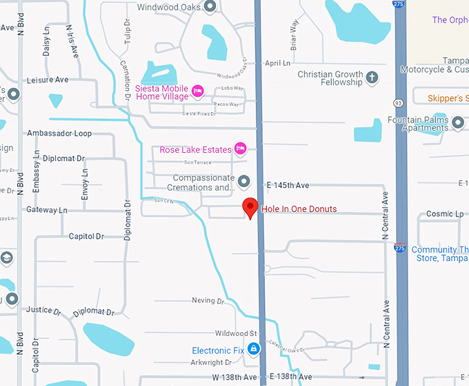 hole in one donuts 10 map