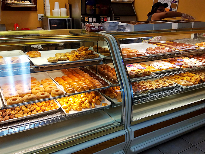 hole in one donuts 2