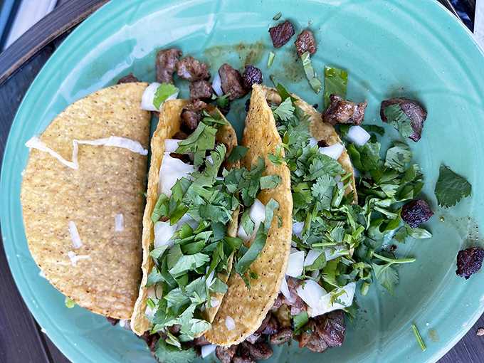 isabel & annabel's mexican restaurant 5