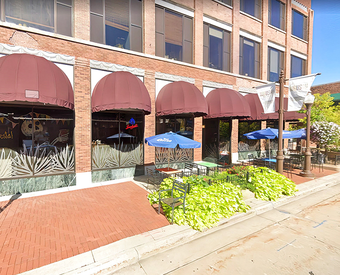 jalape&ntilde;o's mexican restaurante & bar 1