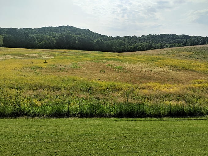 kettle moraine scenic drive 2
