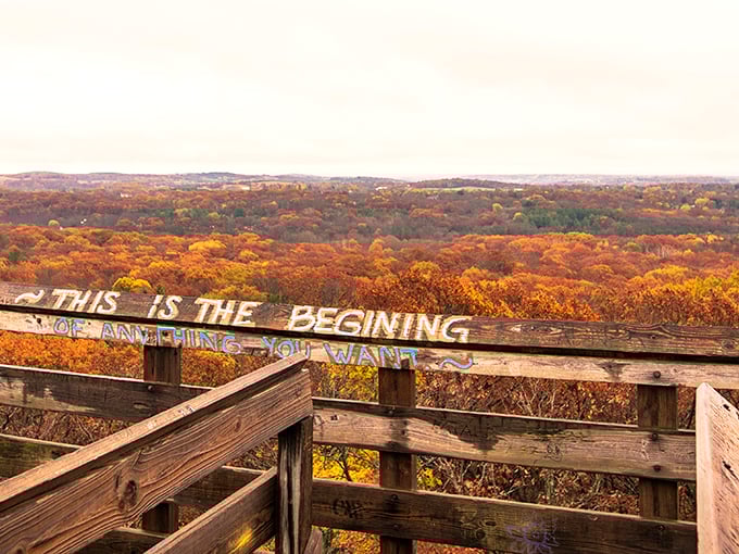 lapham peak observation tower 1