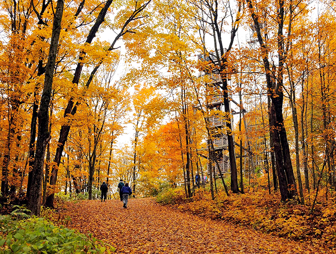 lapham peak observation tower 3