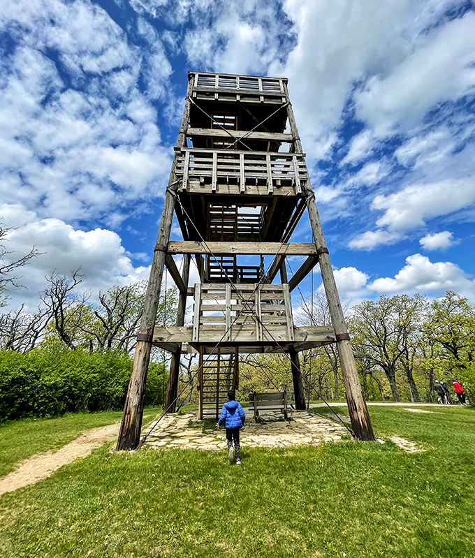lapham peak observation tower 4