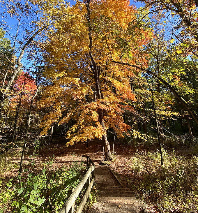 lapham peak observation tower 5