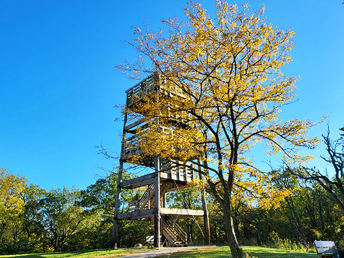 lapham peak observation tower 6