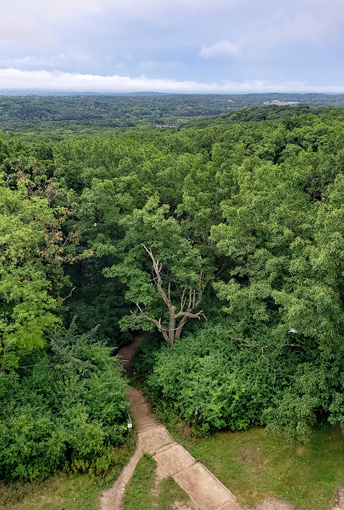 lapham peak observation tower 9