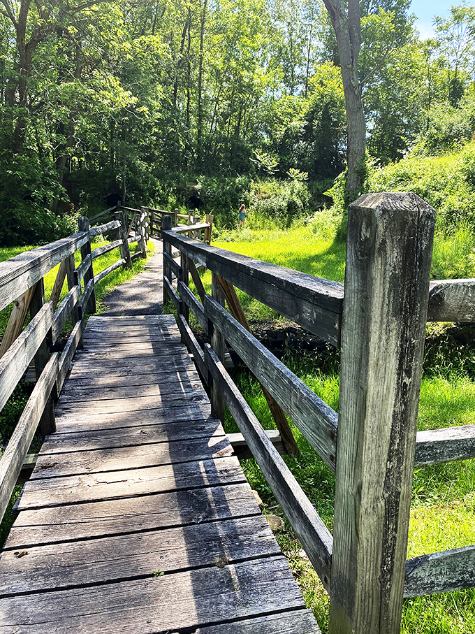 leetonia beehive coke ovens park 4