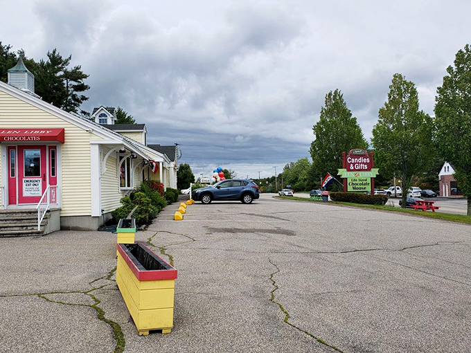 len libby candies home of the life size chocolate moose! 9