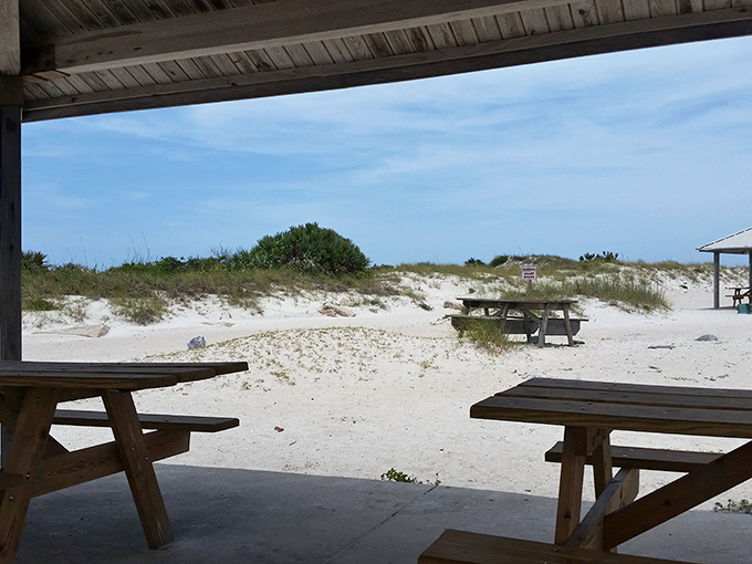 lighthouse point park 7