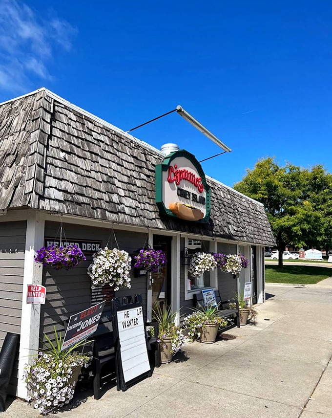 lipuma's coney island 2