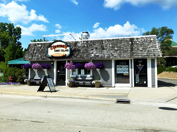 lipuma's coney island 9