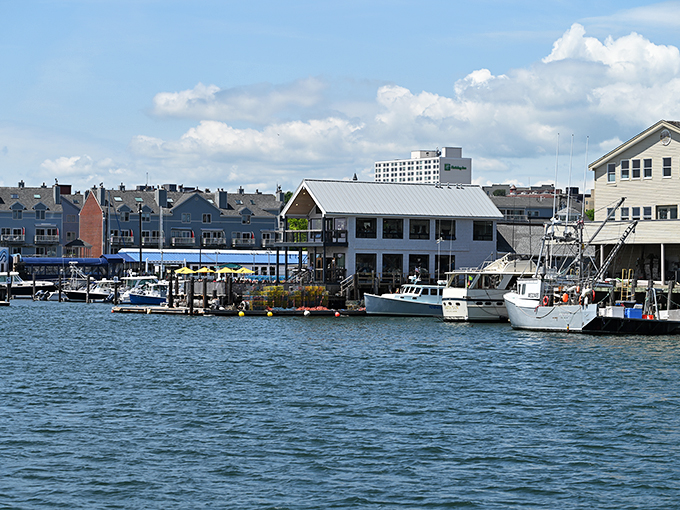 luke's lobster portland pier 9