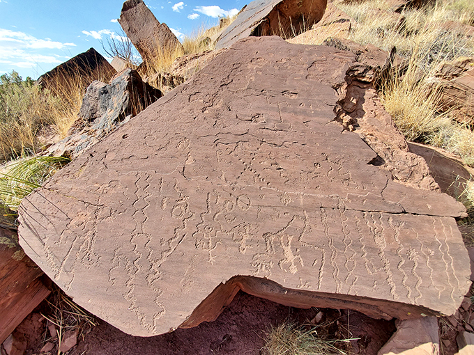 lyman lake state park 4
