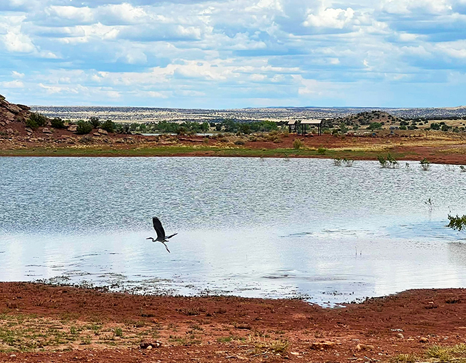 lyman lake state park 6