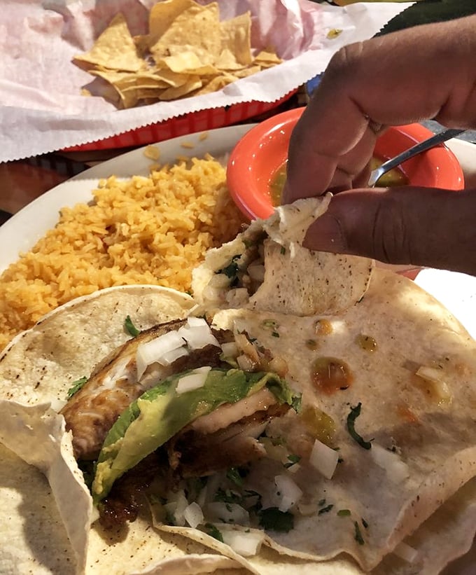 mango's tequila bar 3