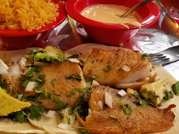 mango's tequila bar 5