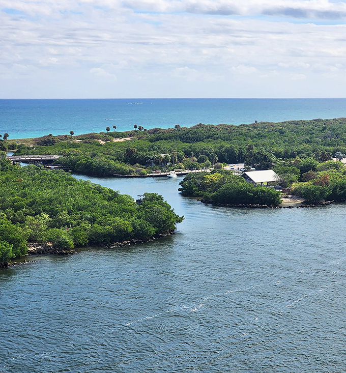 meyers' hometown bakery & beanery llc. 9