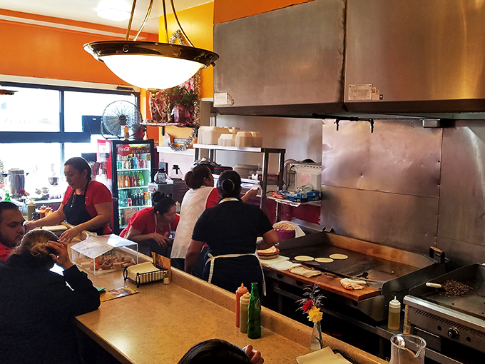 minna&rsquo;s restaurant 7