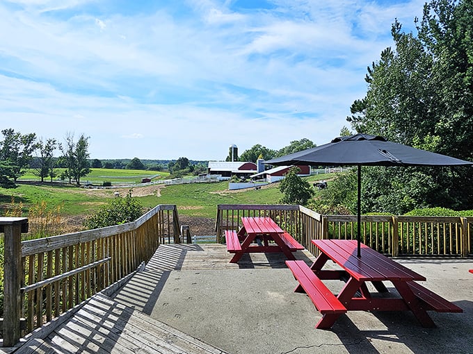 moomers homemade ice cream 3