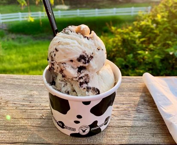 moomers homemade ice cream 6