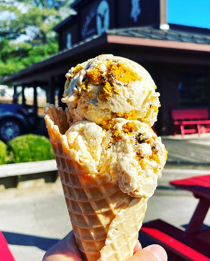 moomers homemade ice cream 7